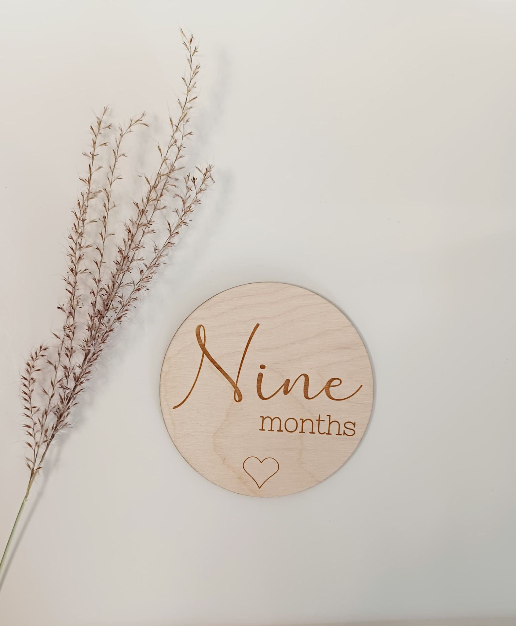 Baby Milestone Disc Set | Buy Milestone Discs from CreativeMamaGiftShop