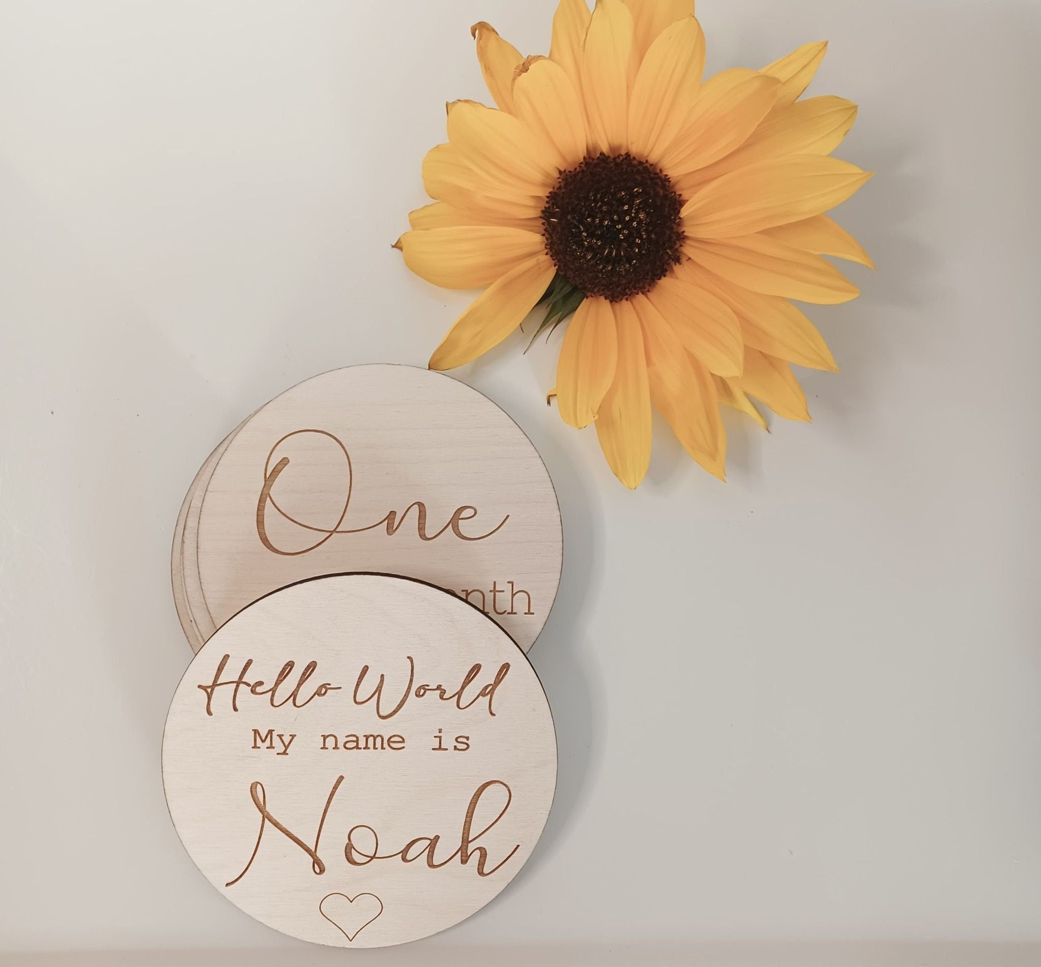 Baby Milestone Disc Set | Buy Milestone Discs from CreativeMamaGiftShop