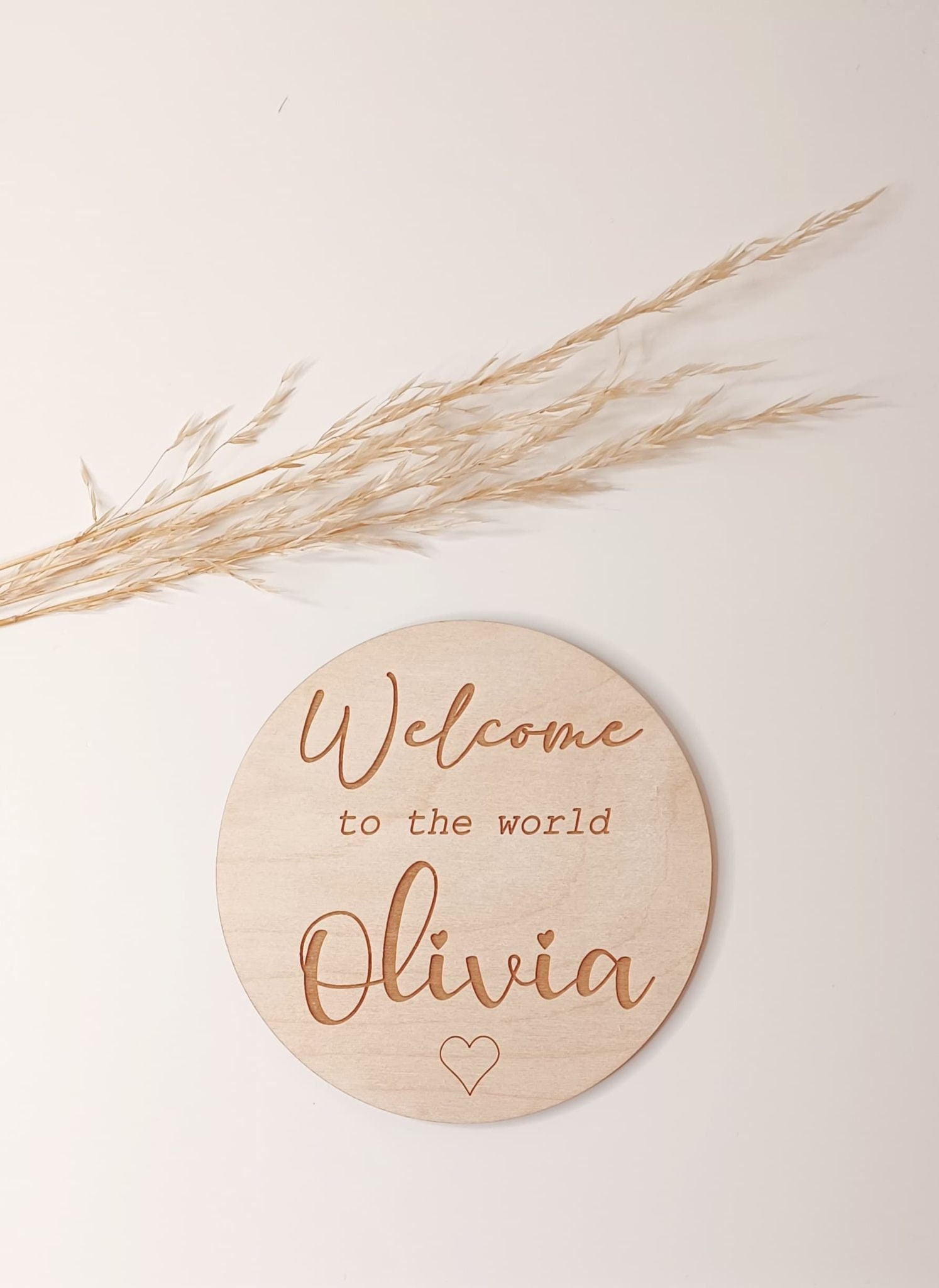 Baby Milestone Disc Set | Buy Milestone Discs from CreativeMamaGiftShop